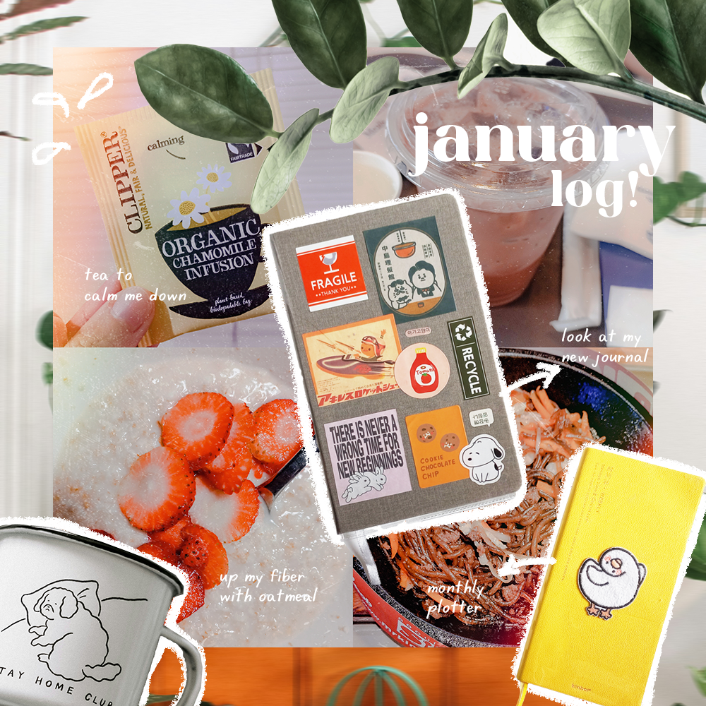 January ’25 Log: New Year, Same Anxiety (But I am Trying!) 😮‍💨🌿🍵 – Faiery
